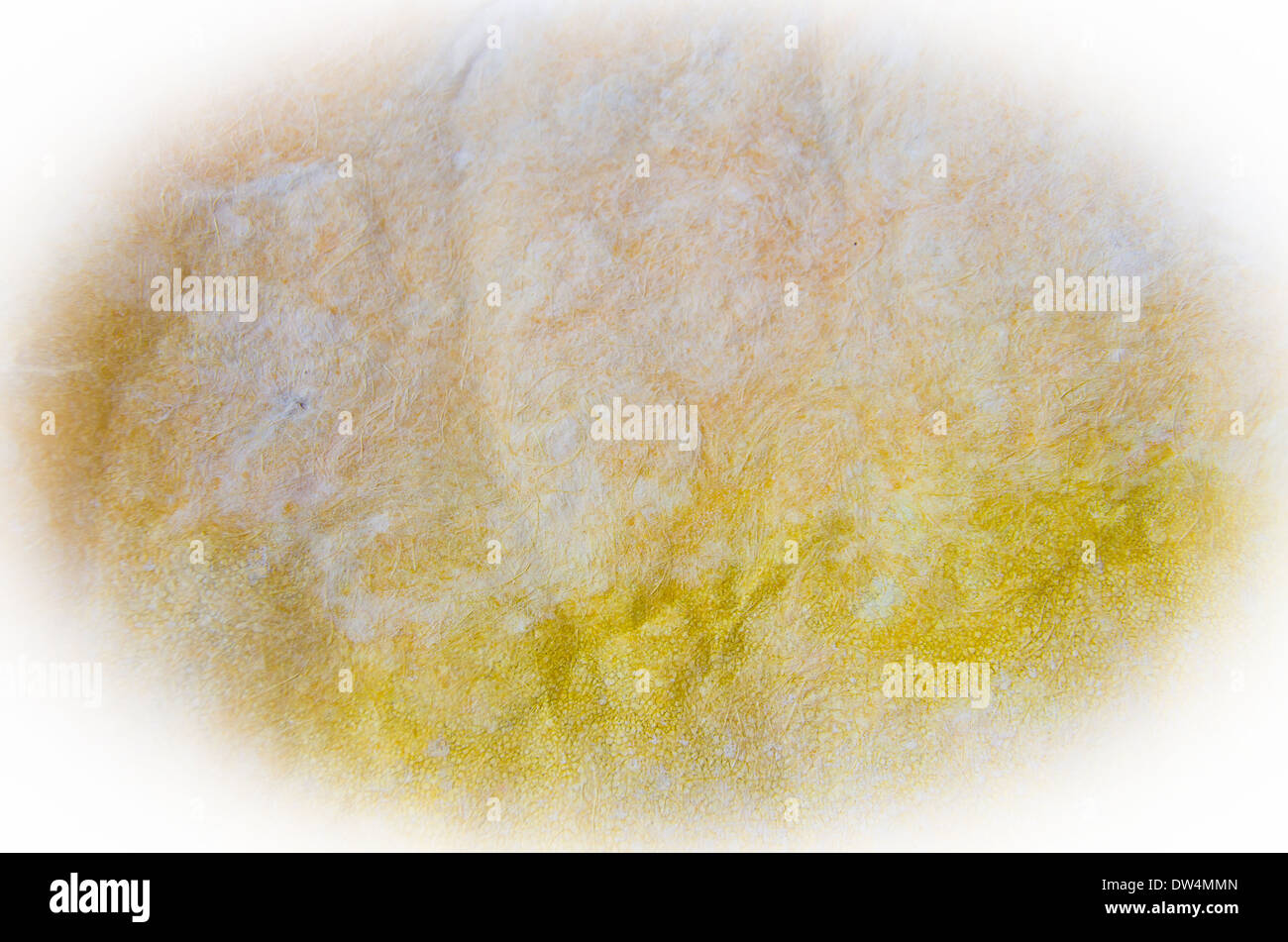 paper texture background from banana tree Stock Photo - Alamy