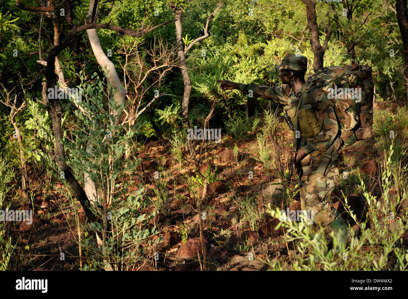 Ugandan soldiers of the Uganda People's Defence Force (UPDF) patrol ...