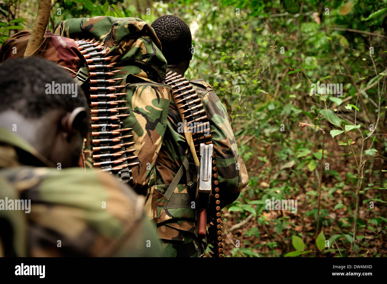 What is a lap in the army tracker in jungle - gatehow