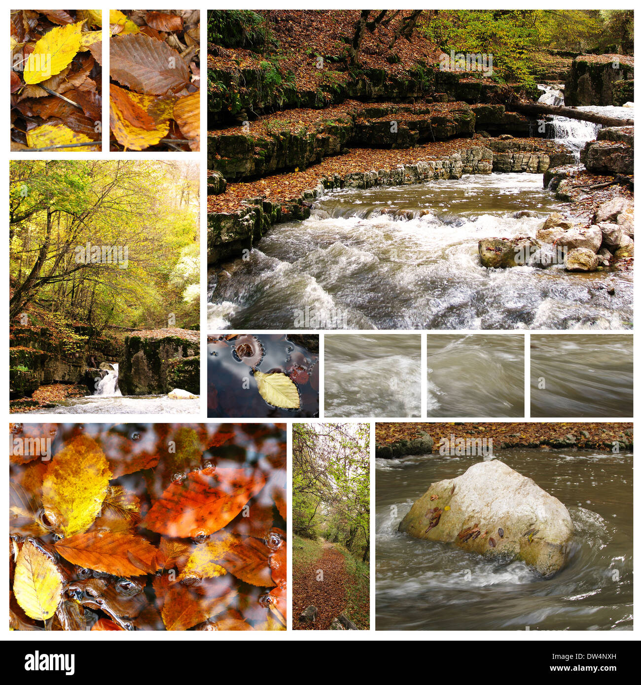 Collection of autumn photographs Stock Photo - Alamy