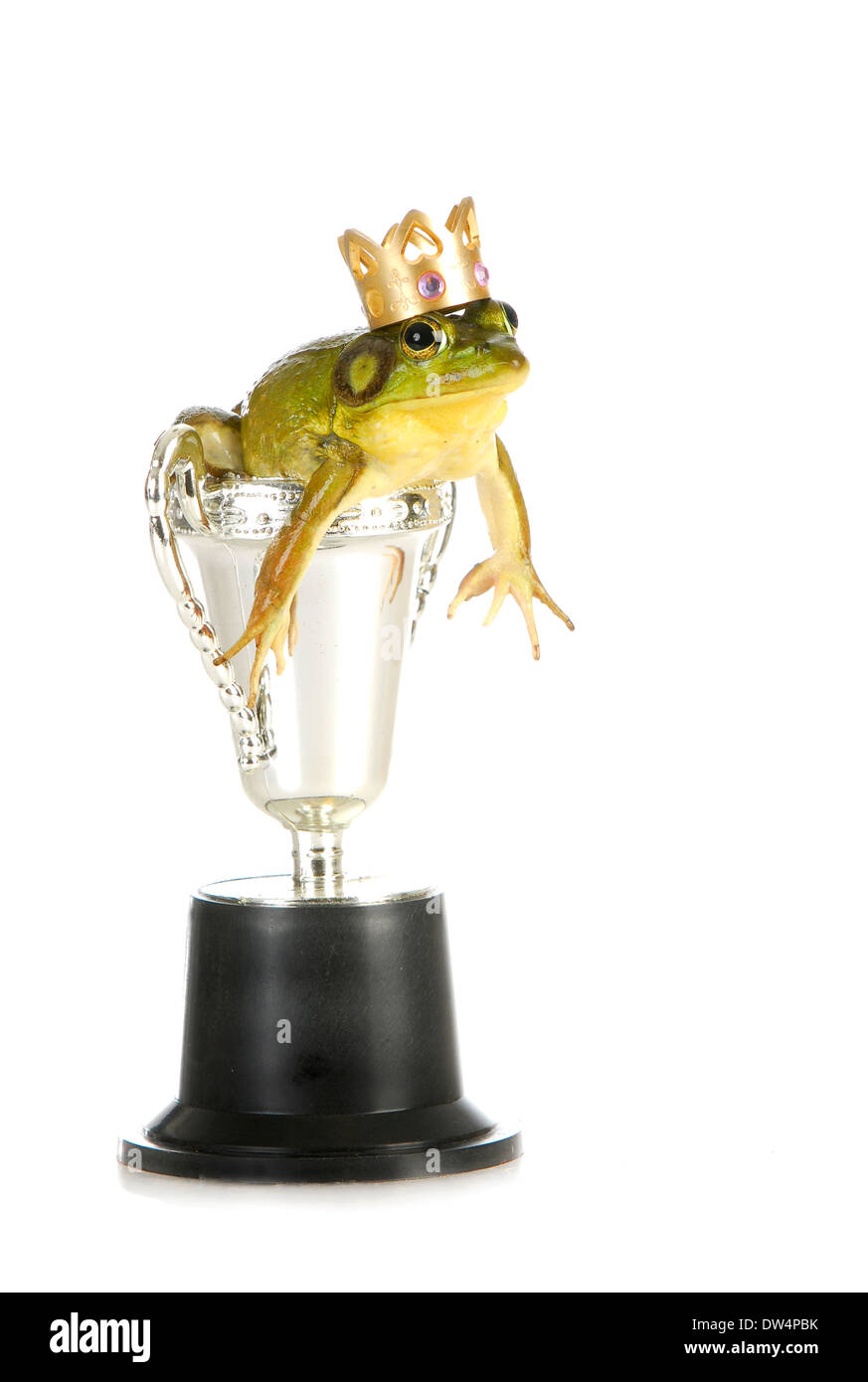 frog in a trophy isolated on white background Stock Photo - Alamy