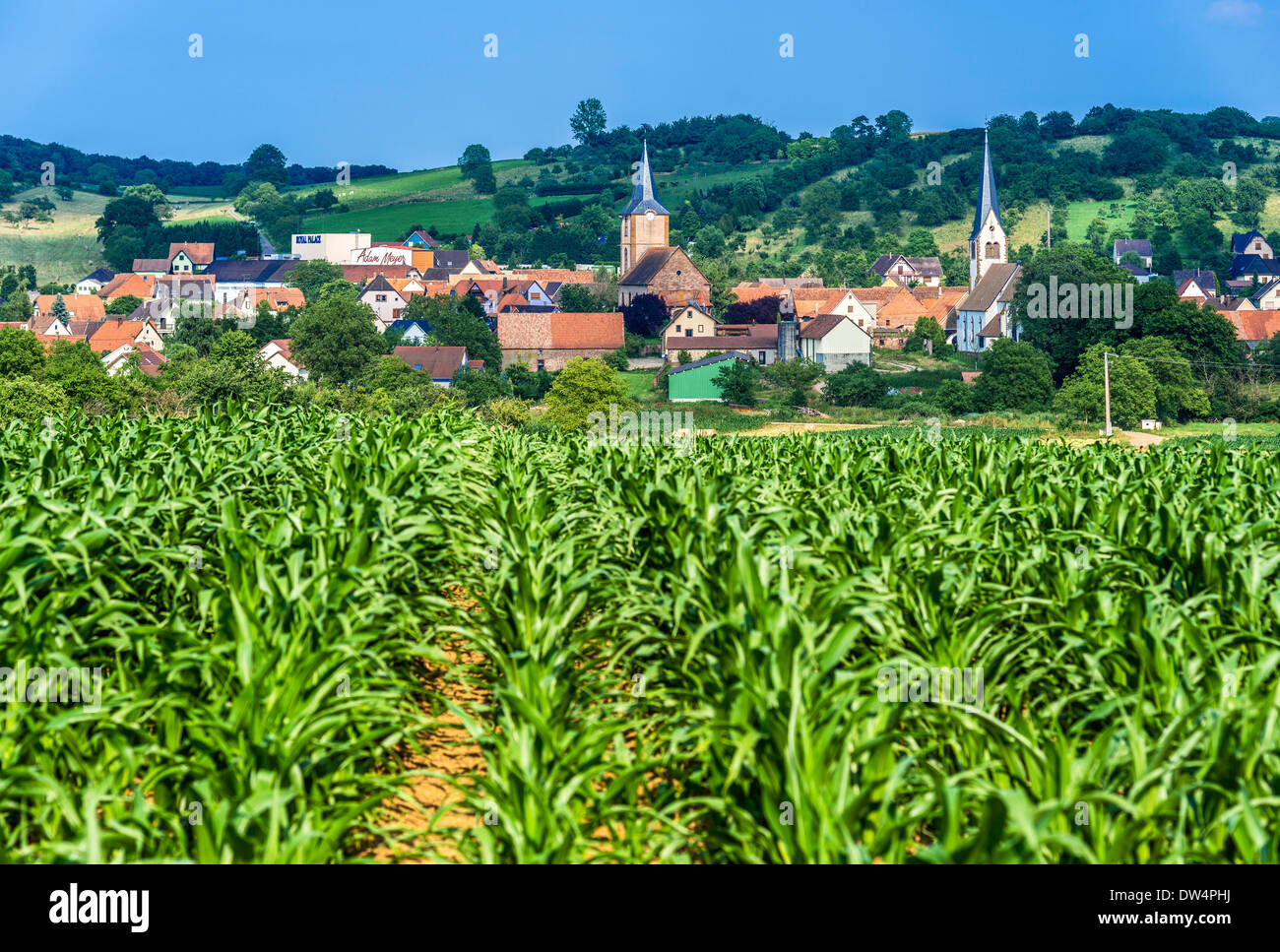 Fields and Kirwiller village Alsace France Stock Photo - Alamy