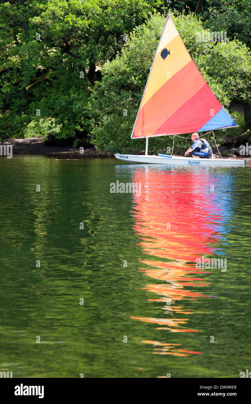 Sunfish Sailboat Logo