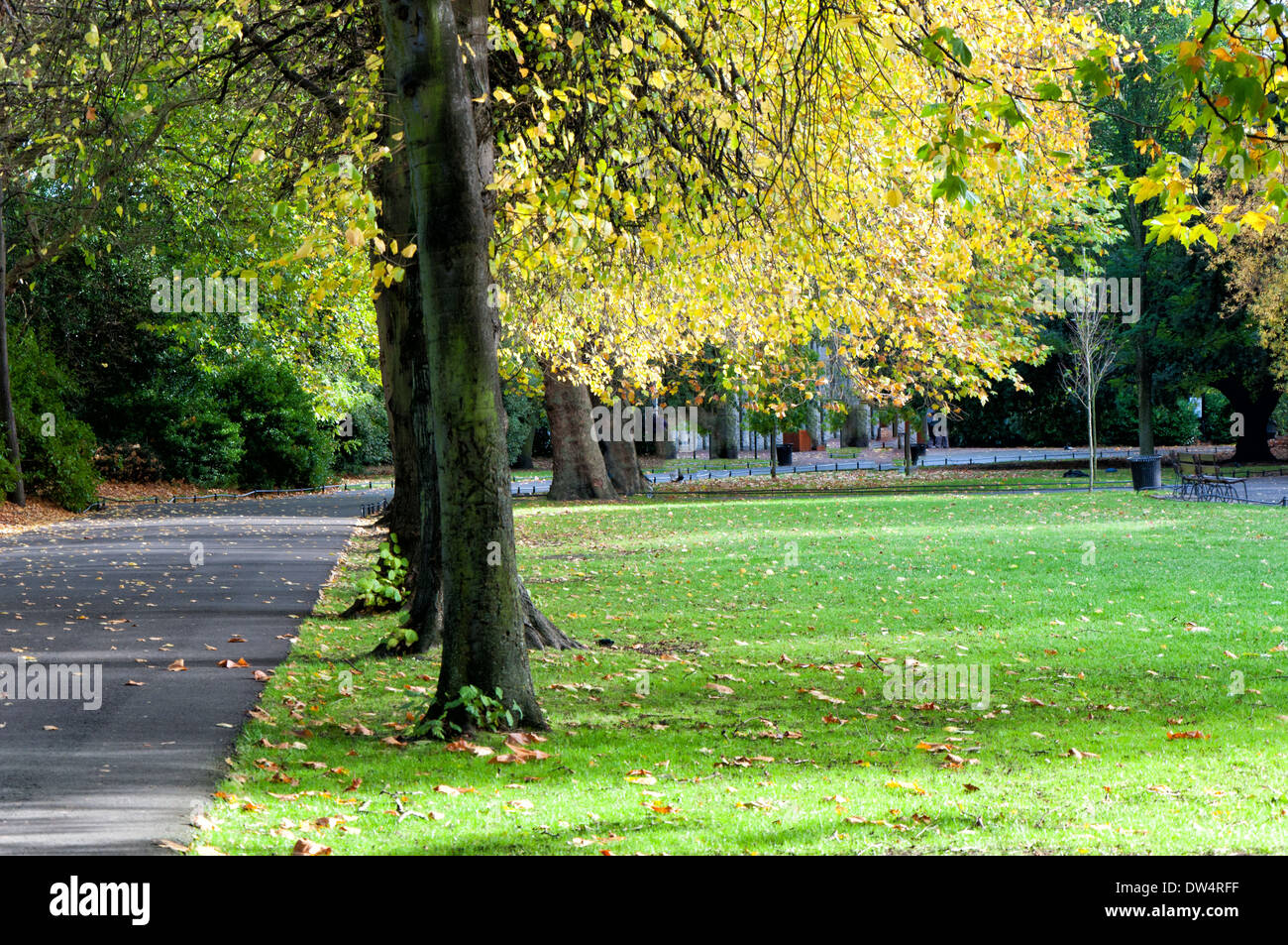 beautiful autumn park at sunny weather Stock Photo - Alamy