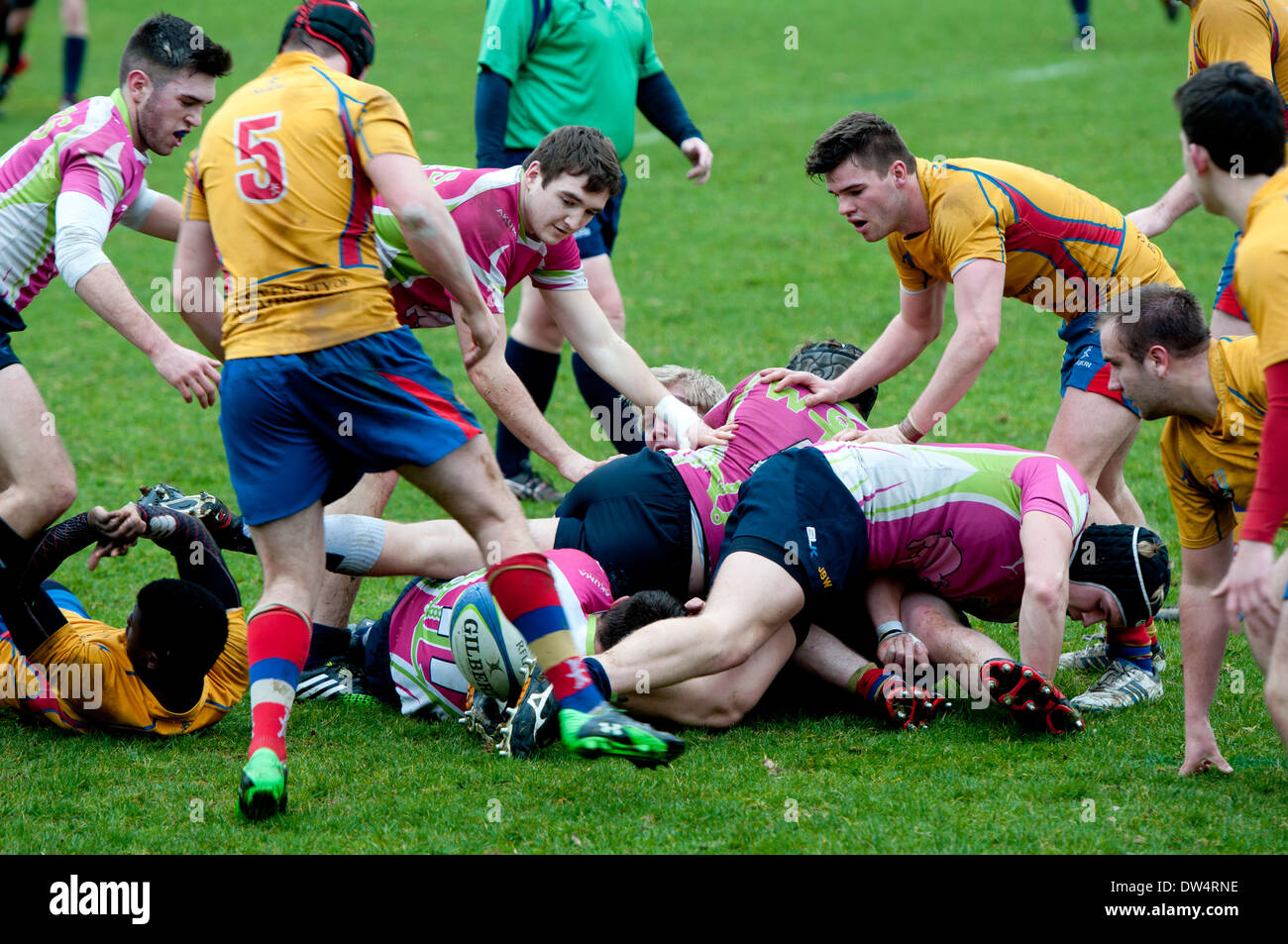 University and college union hi-res stock photography and images - Alamy