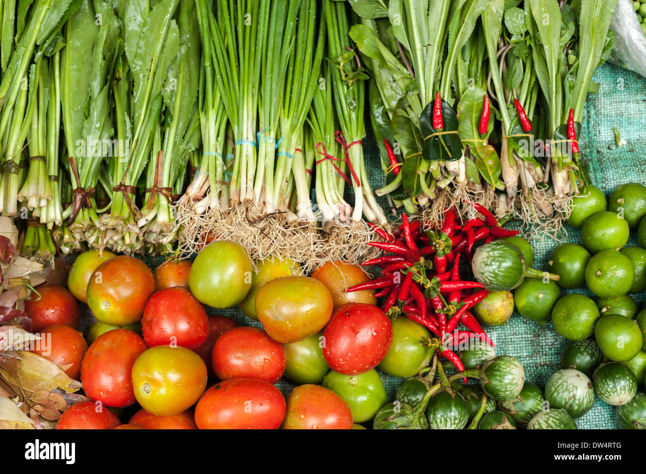 Fresh herbs and spices tomato hi-res stock photography and images - Alamy