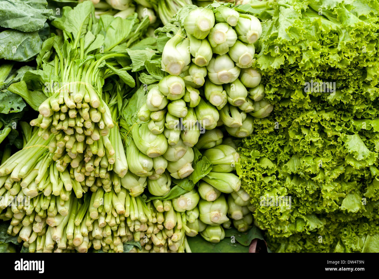 Fresh organic herbs and spices at asian market Stock Photo - Alamy