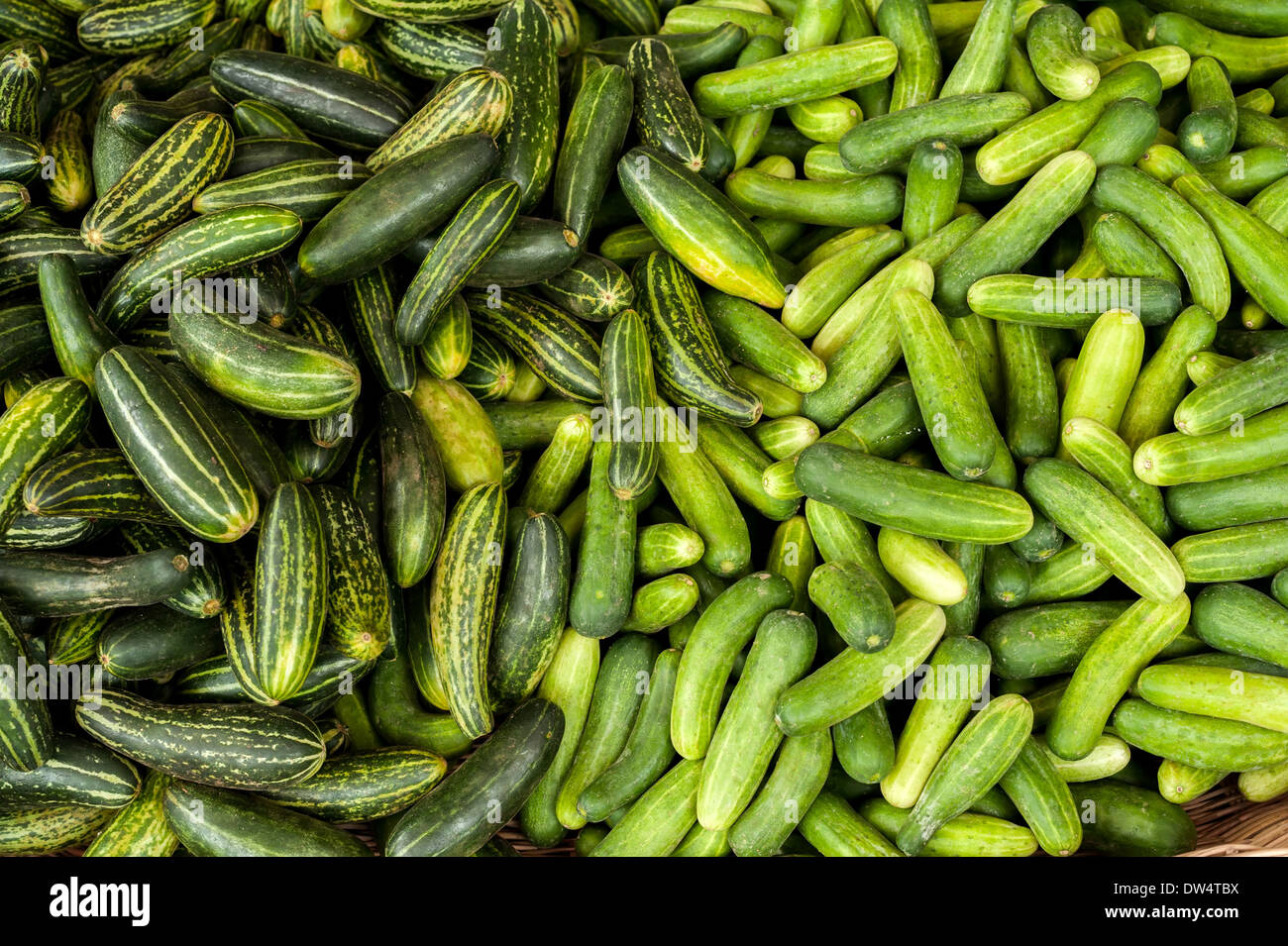 Fresh organic cucumbers at asian market Stock Photo - Alamy