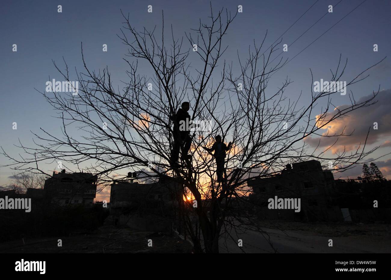 Beit Lahia, Gaza Strip, Palestinian Territory. 27th Feb, 2014 ...