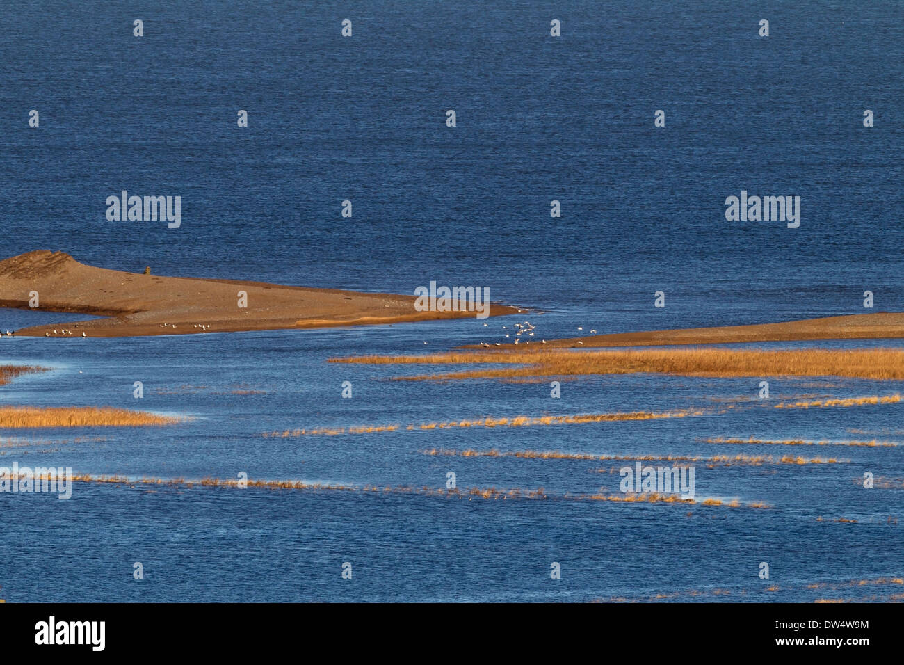 Sea defence damage hi-res stock photography and images - Alamy