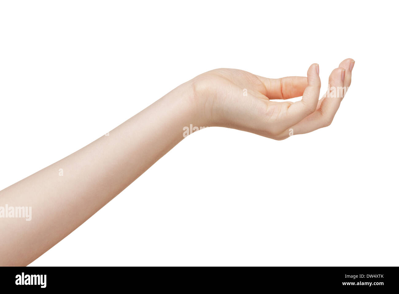 open female teen hand to hold something, isolated on white Stock Photo ...