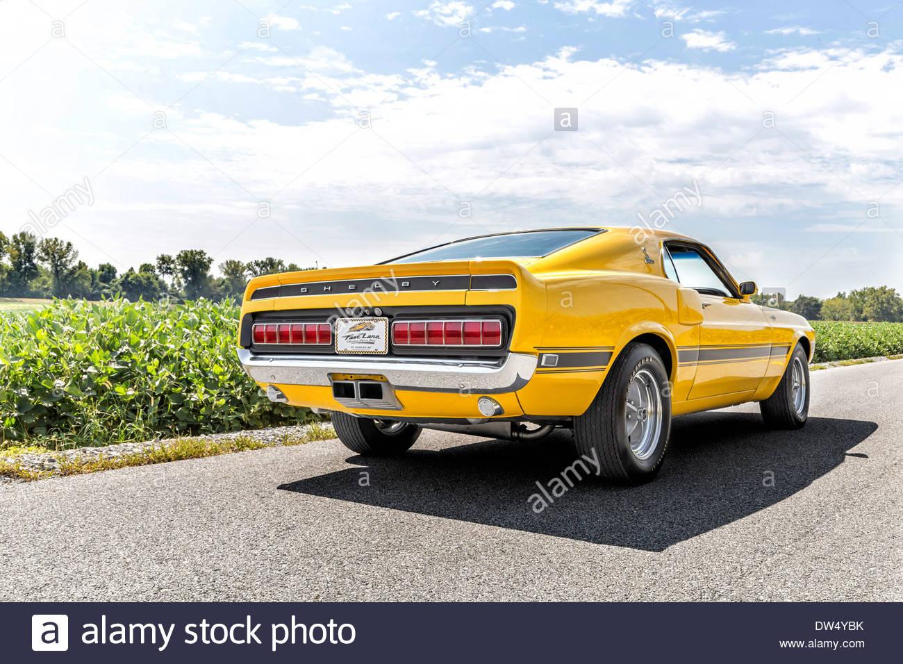 Shelby Gt500 Stock Photos & Shelby Gt500 Stock Images - Alamy