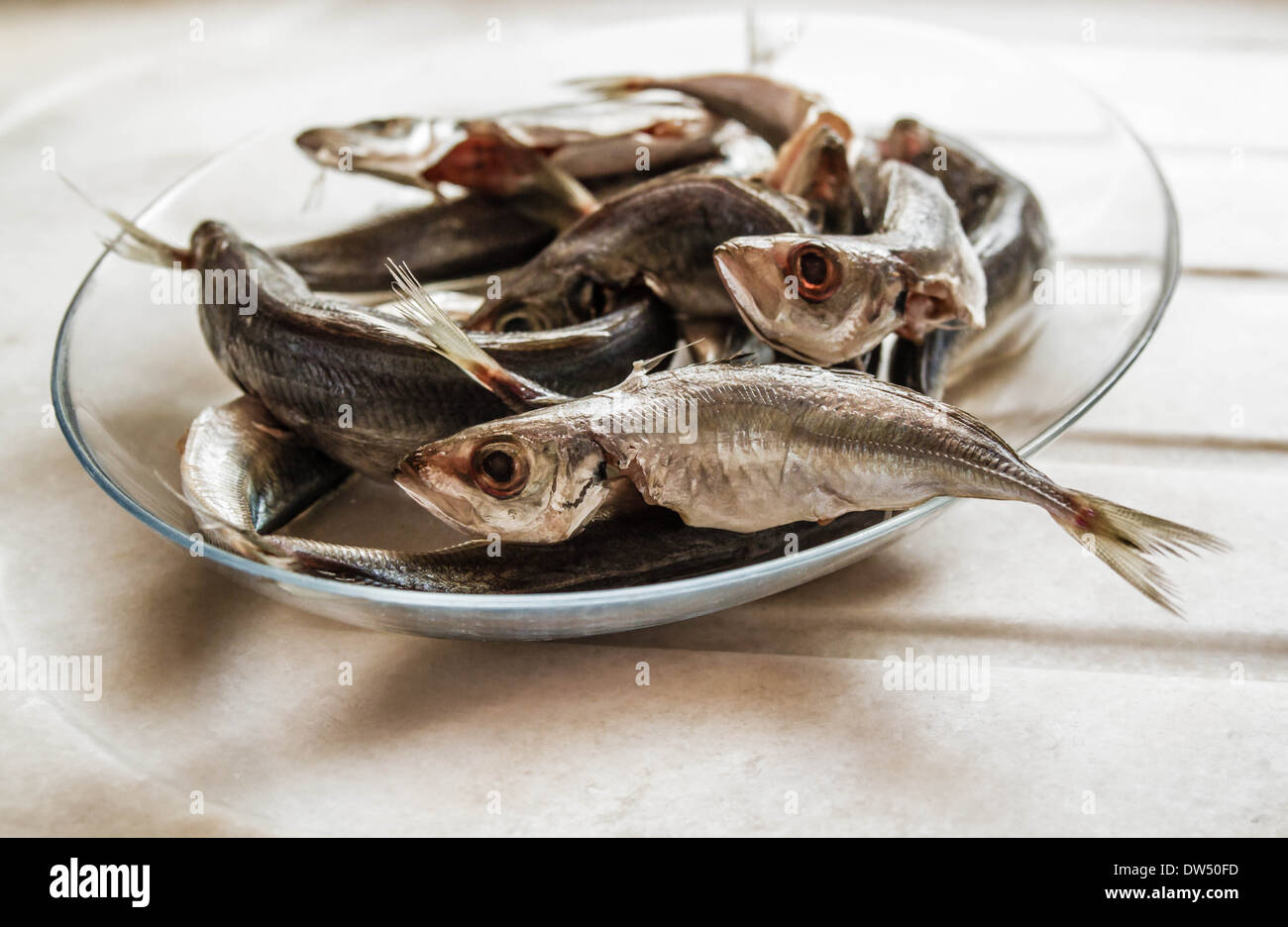 Cleaned mackerel in a glass plate on a white background Stock Photo - Alamy