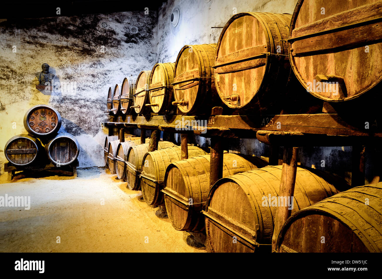 Tio pepe winery jerez hi-res stock photography and images - Alamy