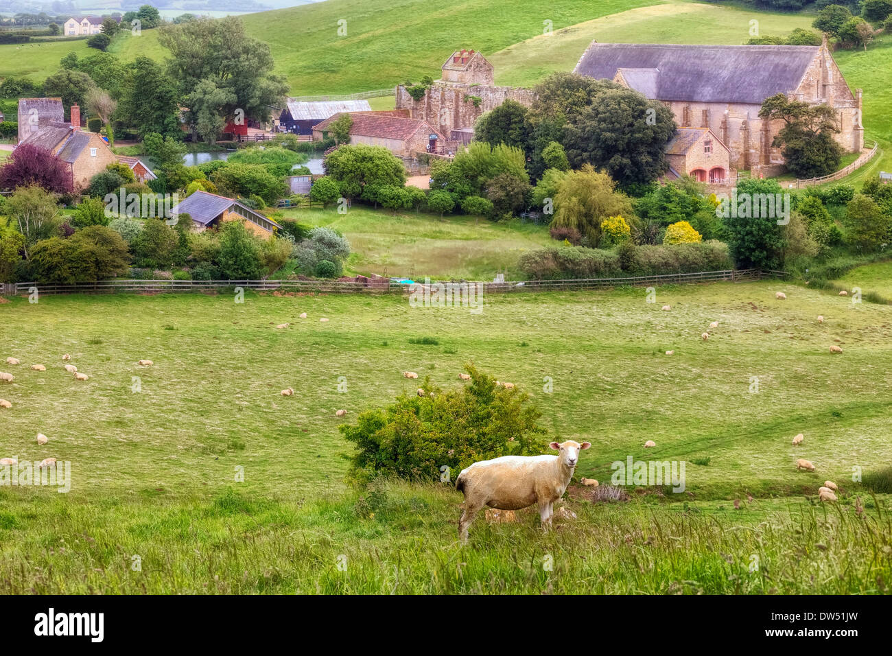 Abbotsbury abbey hi-res stock photography and images - Alamy