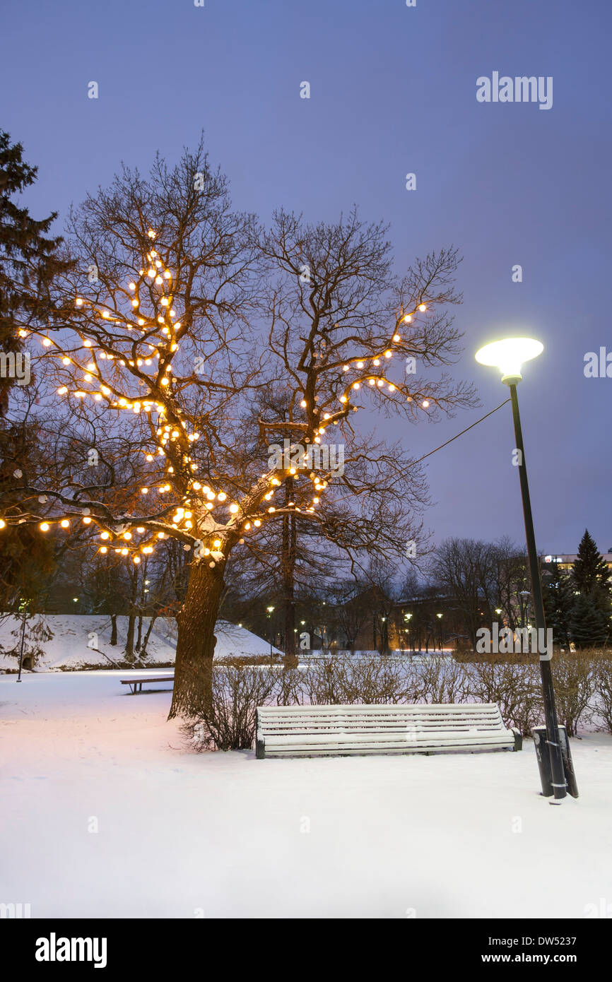 Long white park bench under illuminated tree in a winter night Stock ...
