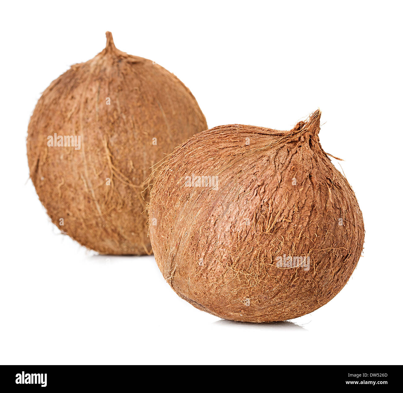 Coconut isolated on white background Stock Photo - Alamy