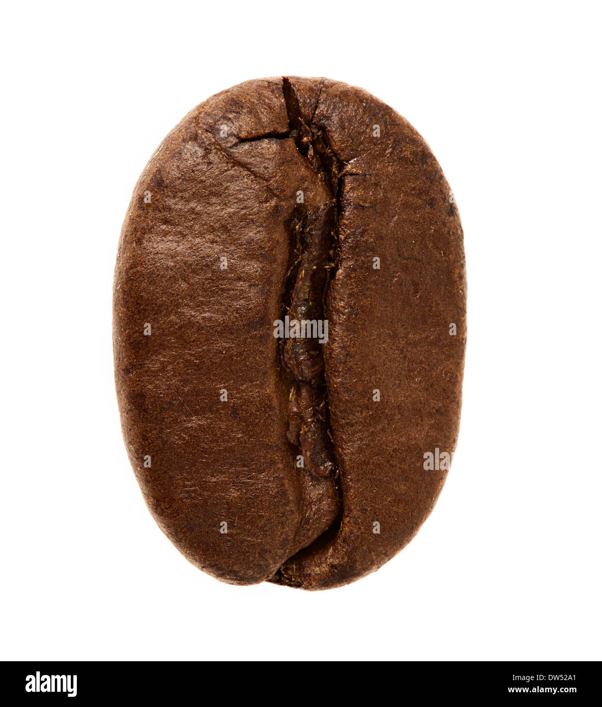 coffee bean isolated Stock Photo - Alamy