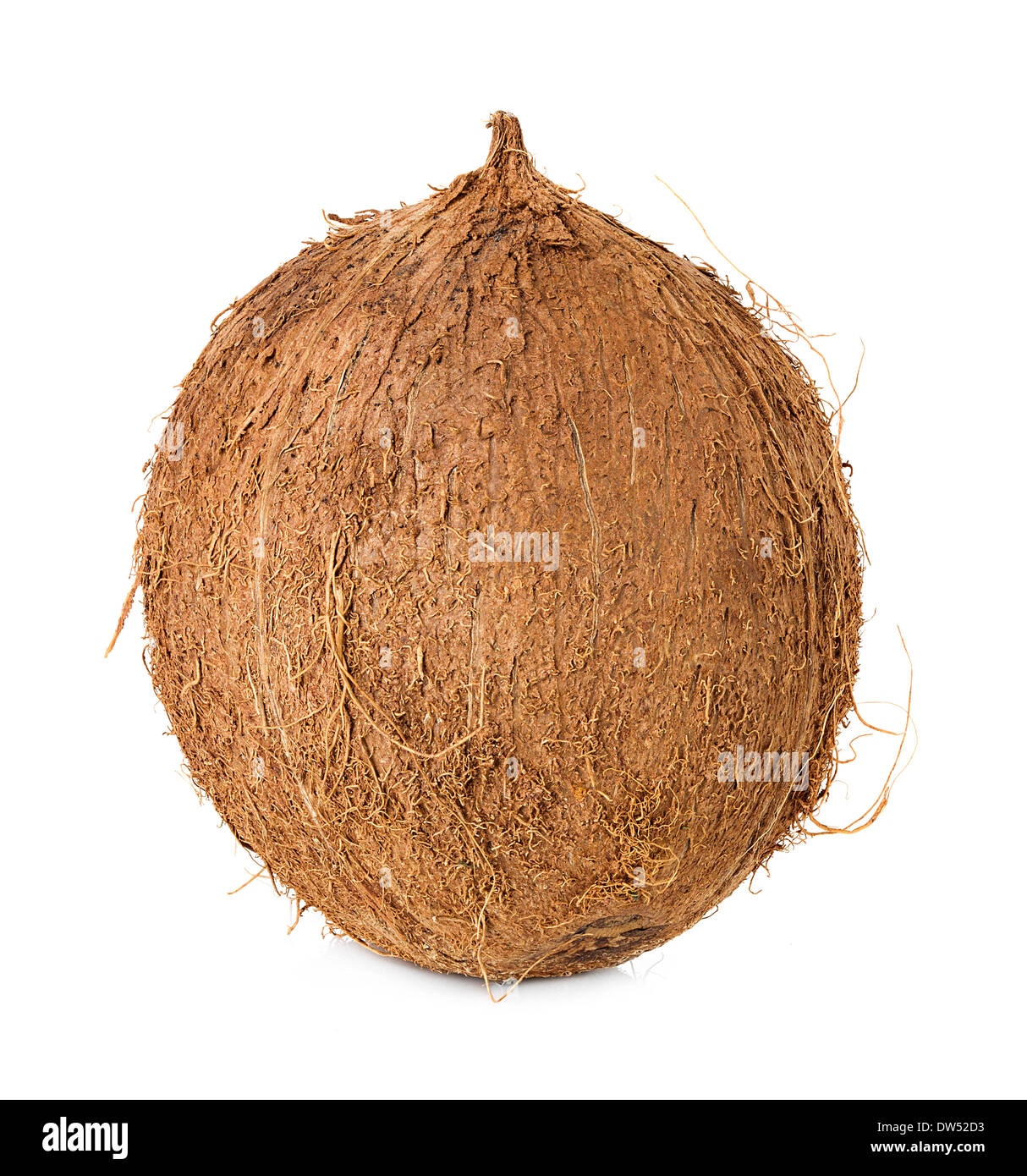 Hairy coconut hi-res stock photography and images - Alamy