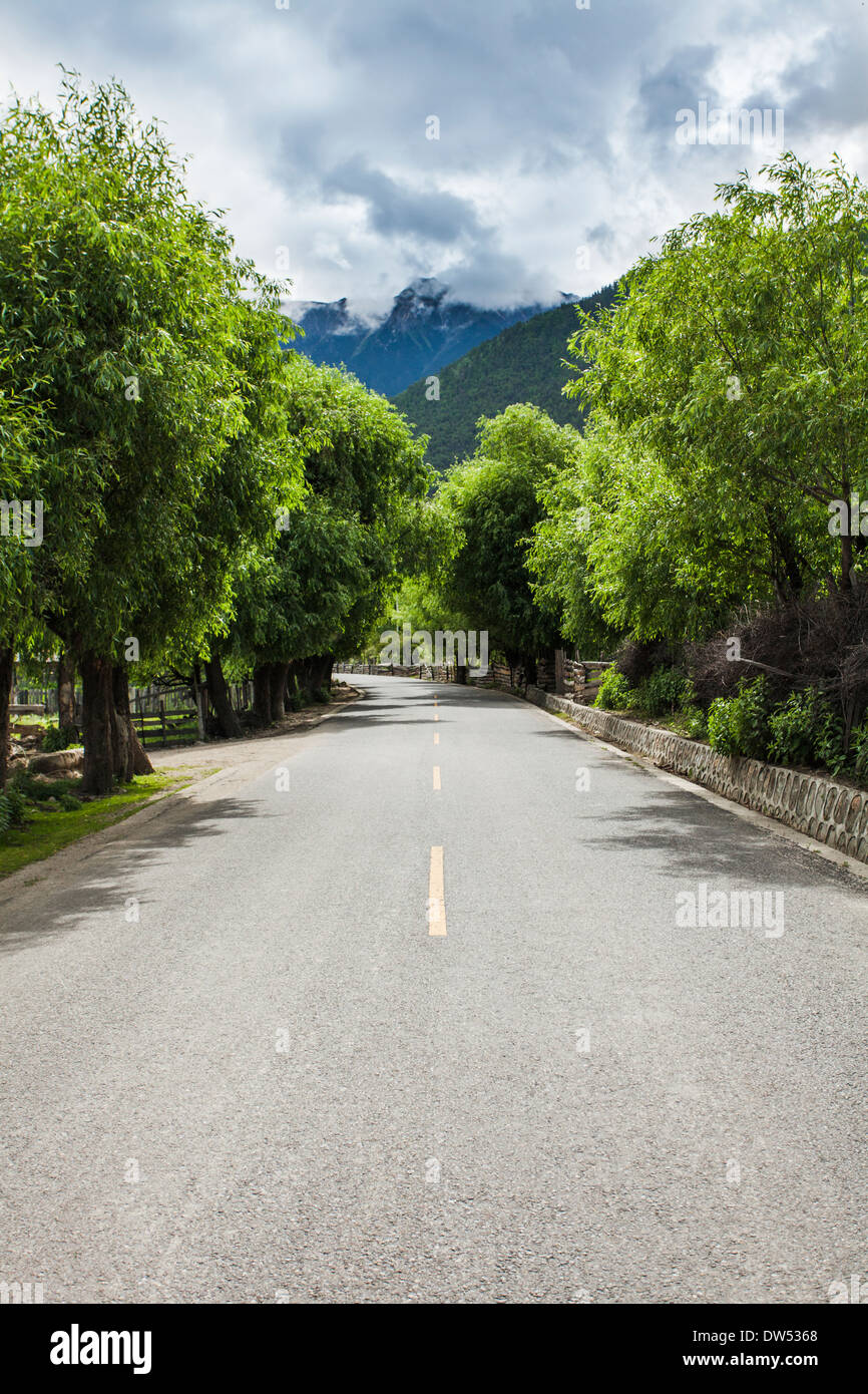 Lush green roadside foliage hi-res stock photography and images - Alamy