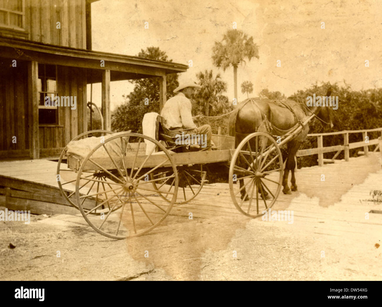 Mule drawn carts hi-res stock photography and images - Alamy