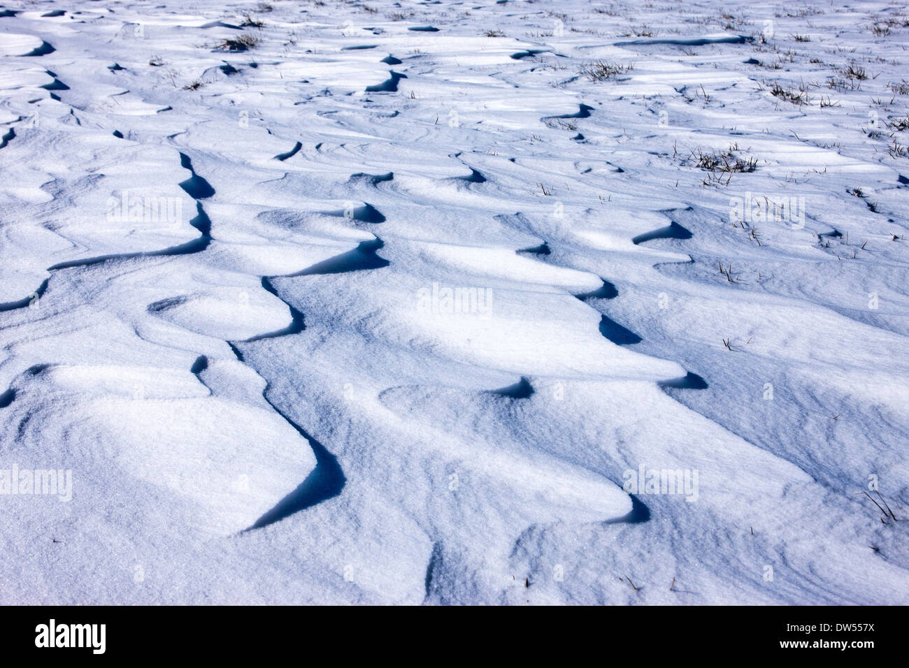 Wind blown lines in the snow make for some interesting designs Stock ...