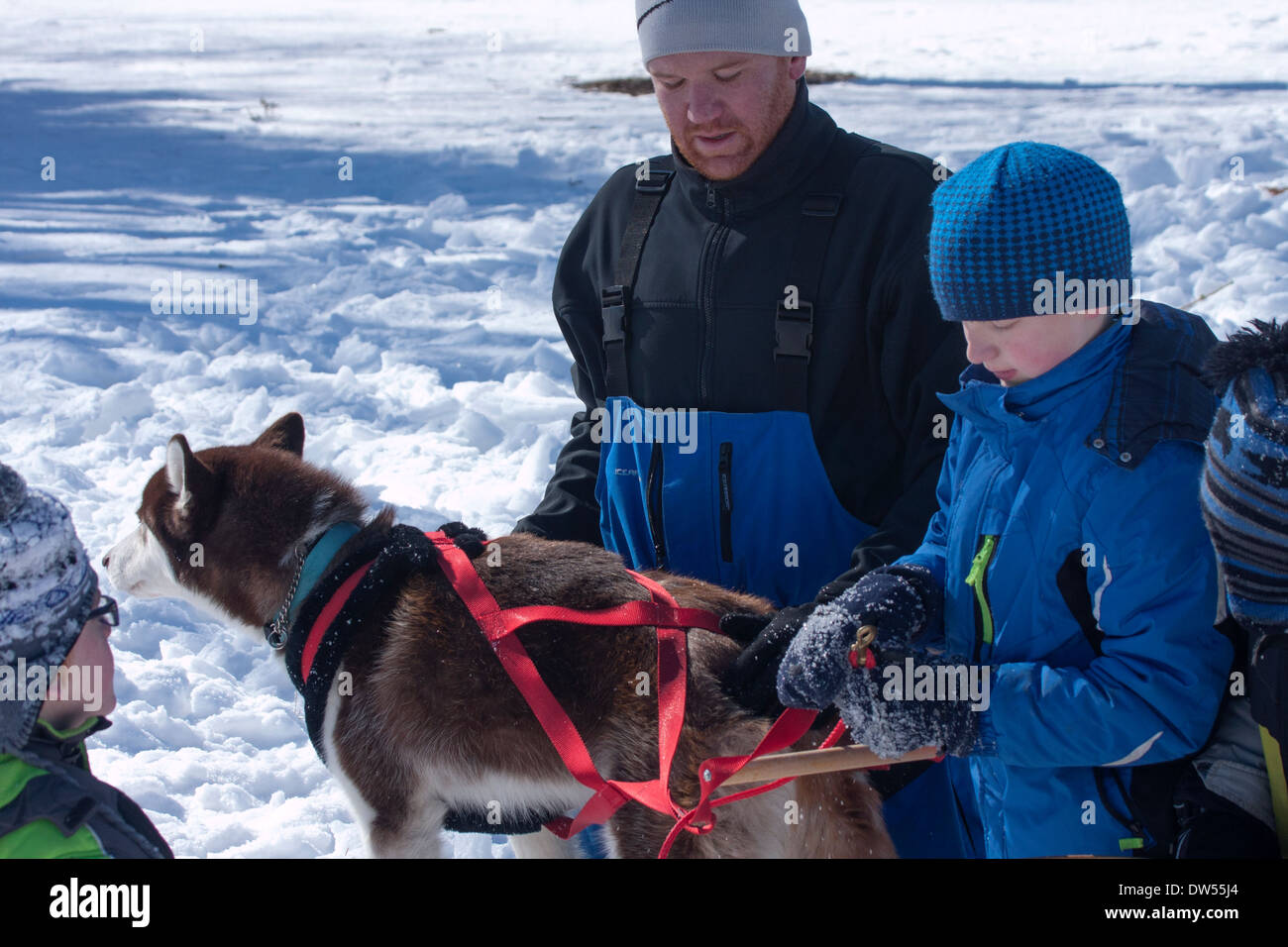 Dog sled snow hook hi-res stock photography and images - Alamy