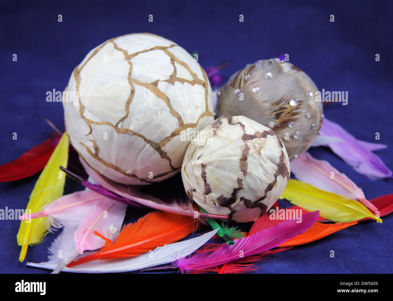 Colored feathers hi-res stock photography and images - Alamy