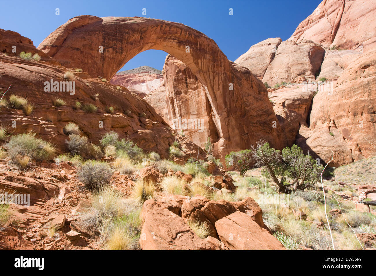 Rainbow Bridge Arch, Lake Powell, Utah, USA Stock Photo - Alamy