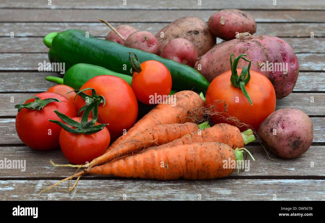 Home grown vegetables hi-res stock photography and images - Alamy