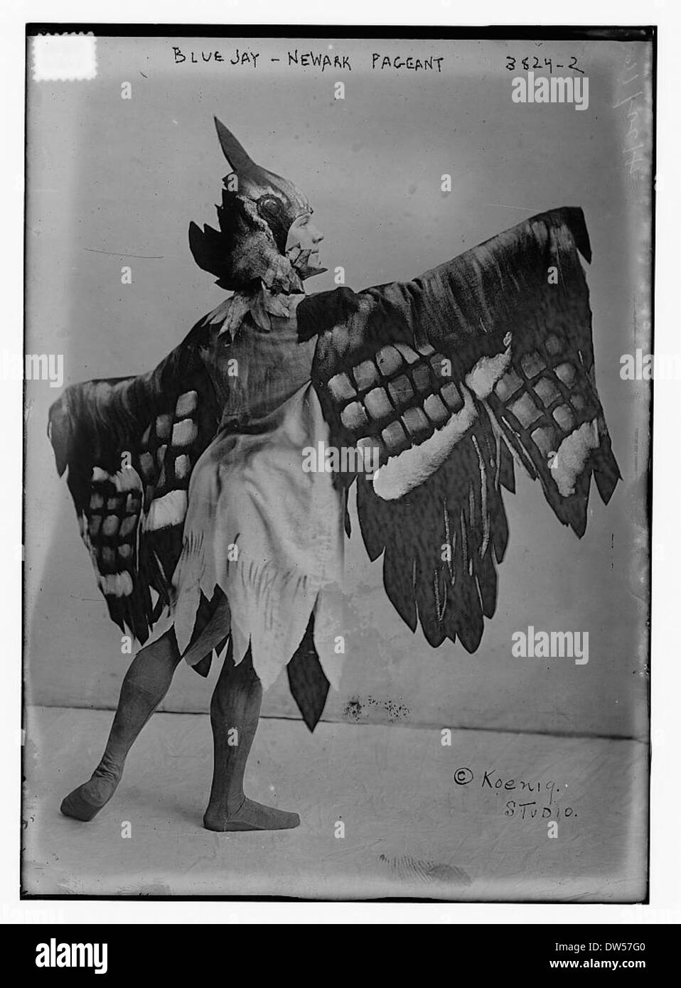 Blue Jay - Newark Pageant (LOC Stock Photo - Alamy