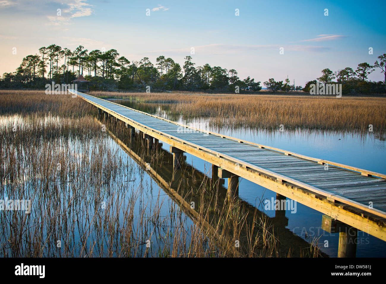 Marsh Boardwalk at Hunting Island, South Carolina Stock Photo - Alamy