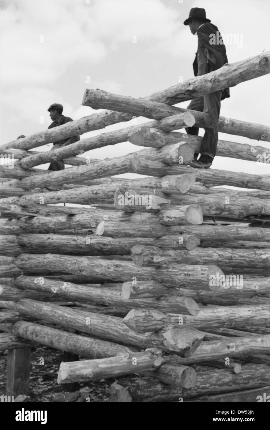 Log construction refers to the method of building using logs for ...