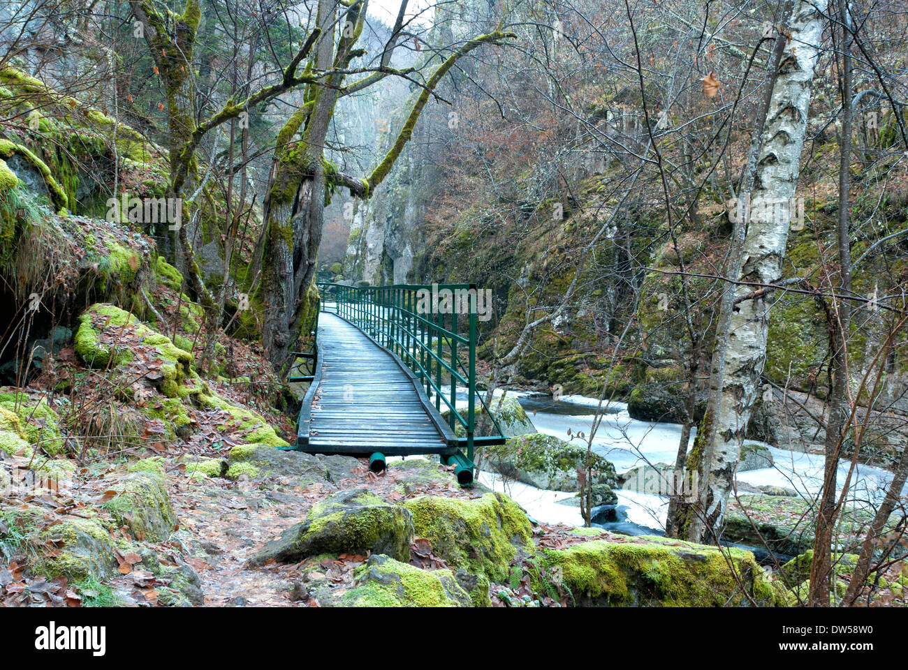 Wooden pathway over the river in the winter Stock Photo - Alamy