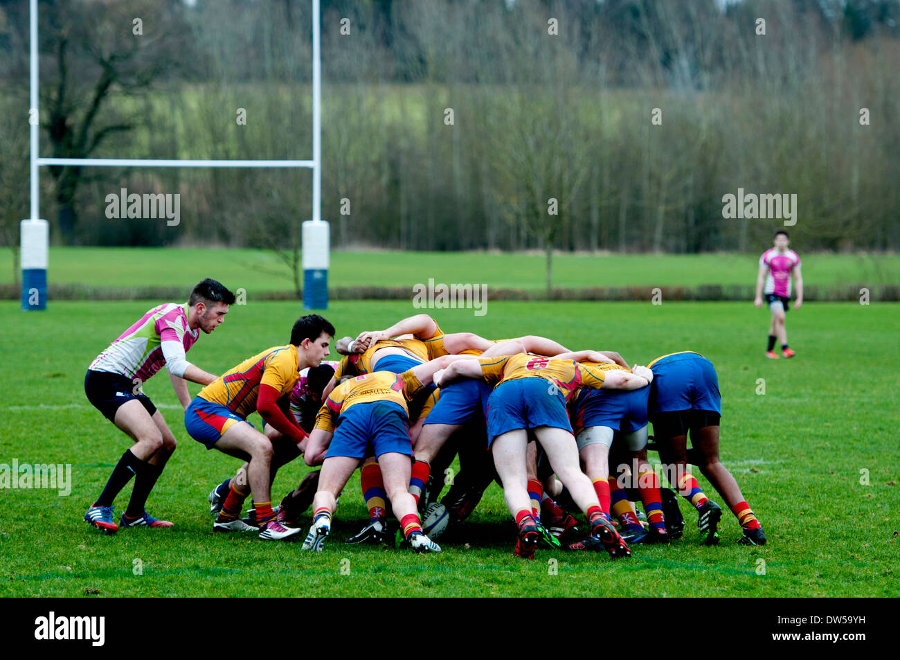 Sport rugby union scrum hi-res stock photography and images - Alamy