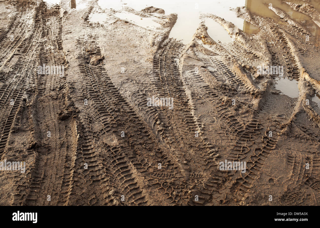 Mud Tracks Background