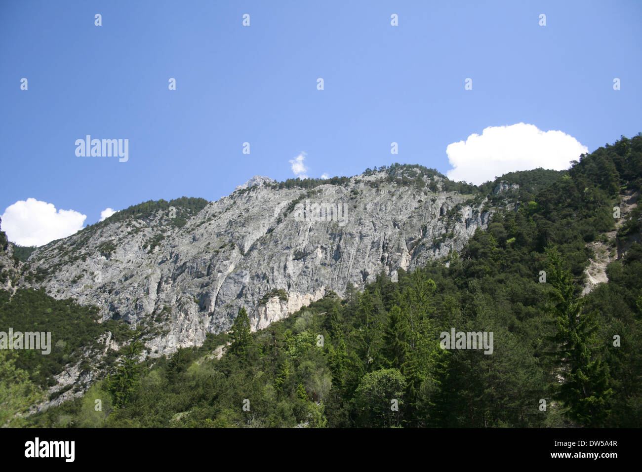 Savage rock, trees on its point Stock Photo - Alamy