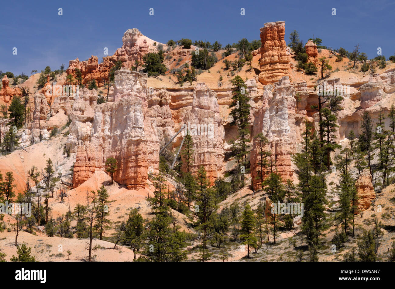 breathtaking view of oddly shaped hoodoos and rock spires at iconic ...