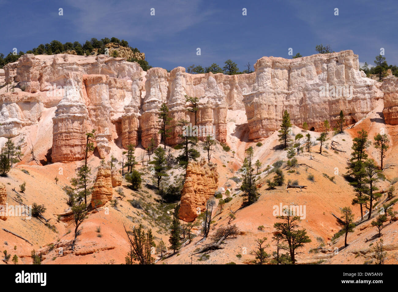breathtaking view of oddly shaped hoodoos and rock spires at iconic ...