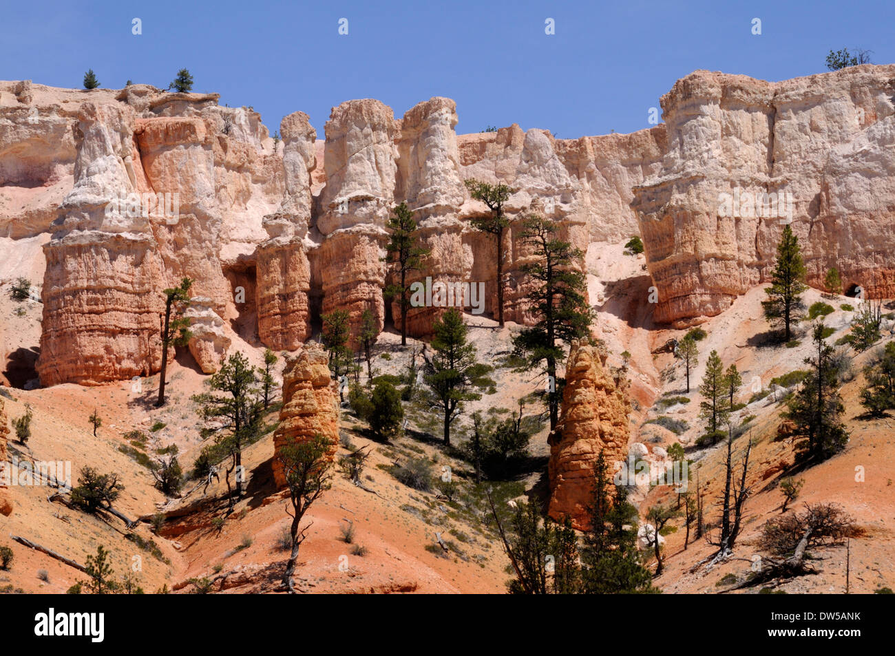 American national parks iconic images hi-res stock photography and ...