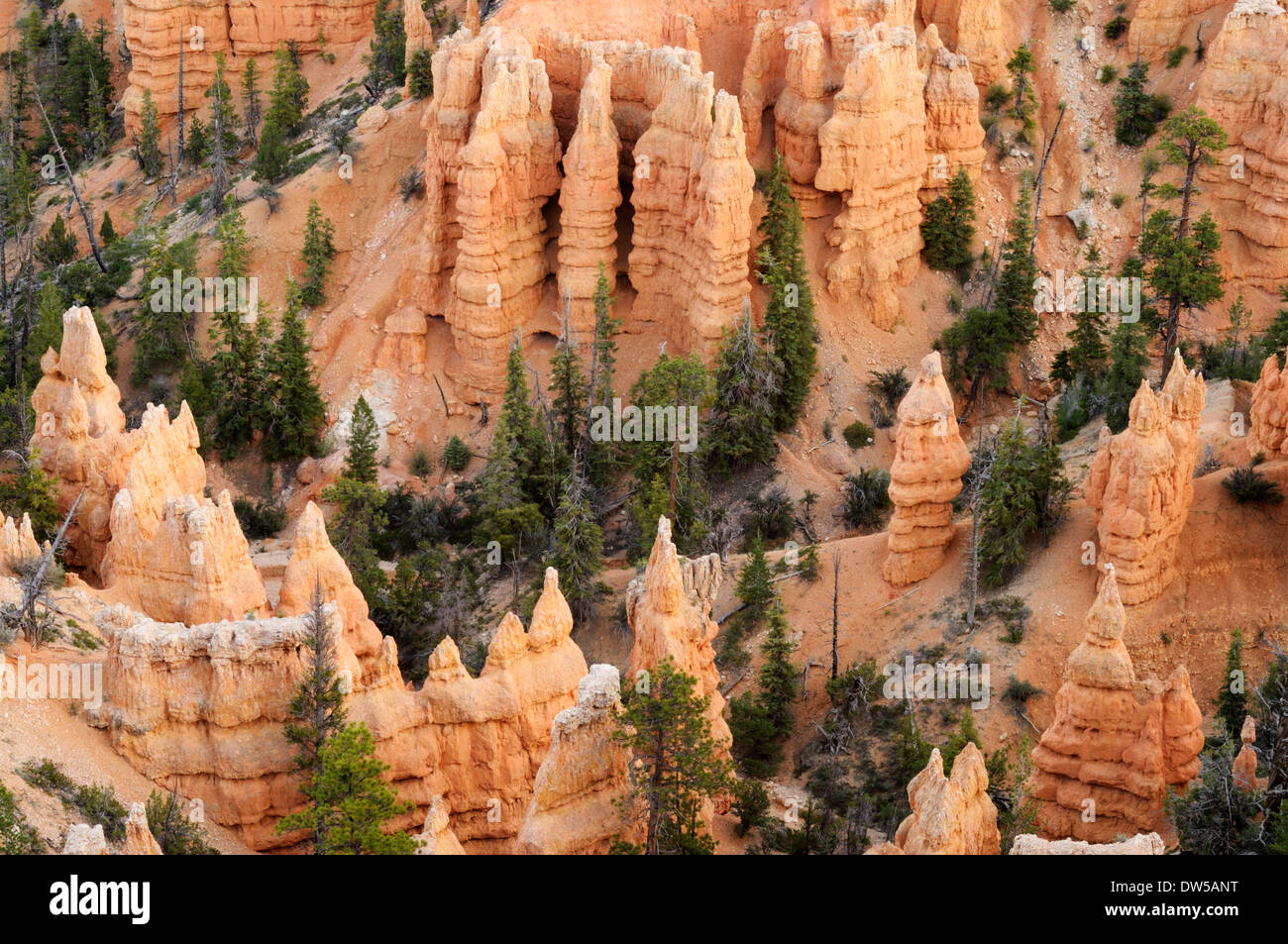 breathtaking view of oddly shaped hoodoos and rock spires at iconic ...