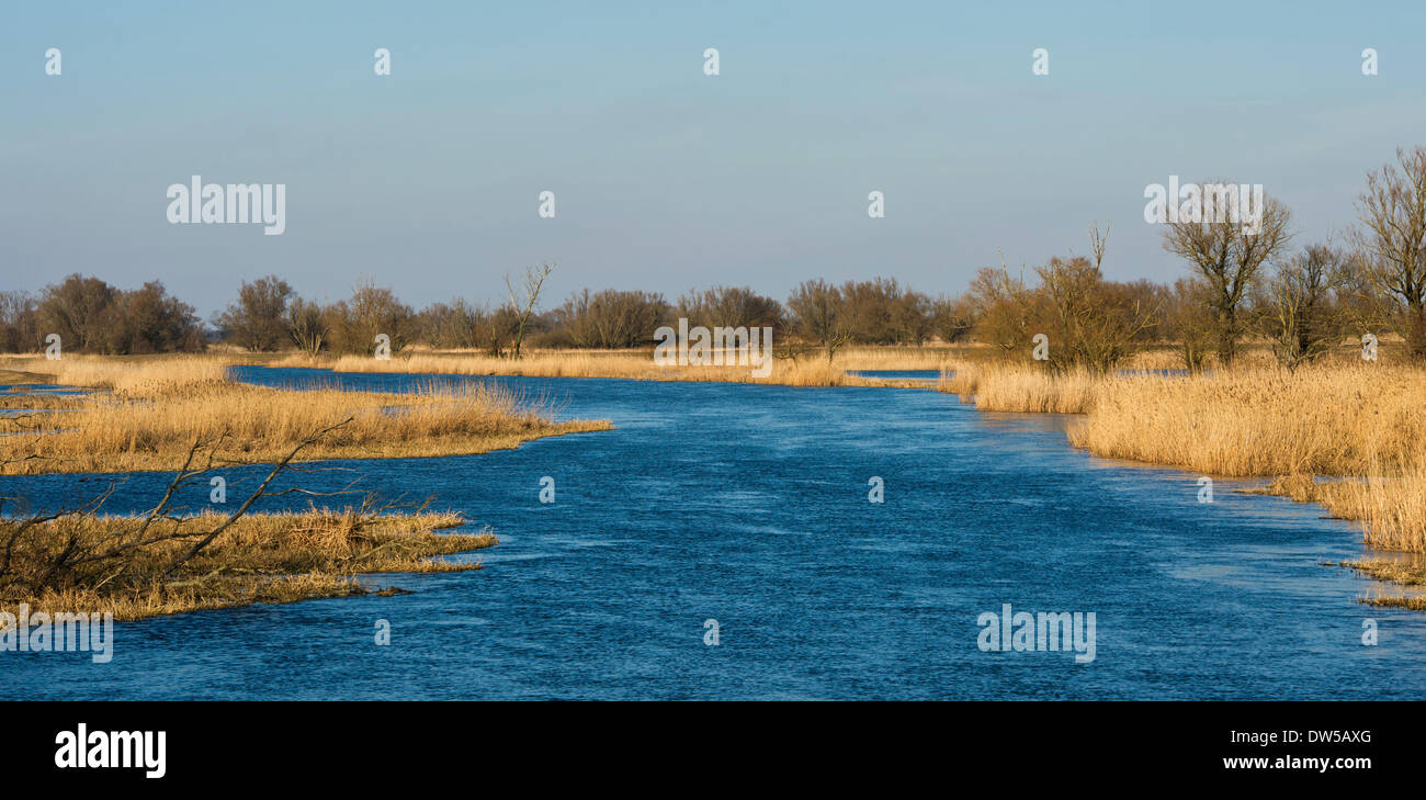 The Guelper Havel a tirbutary of the Havel flows through in ...