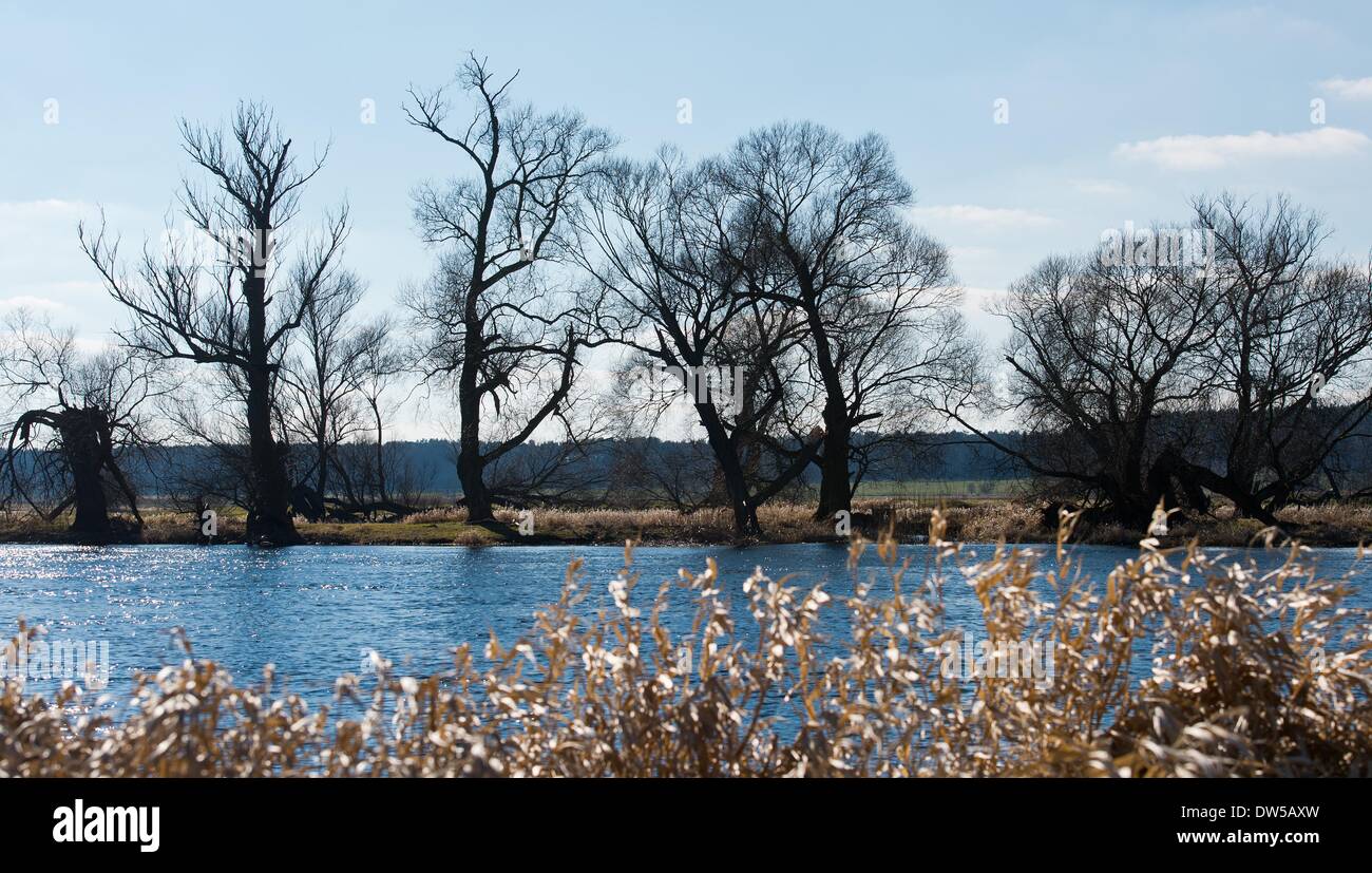 The Havel River flows through Westhavelland Natural Park near Guelpe ...