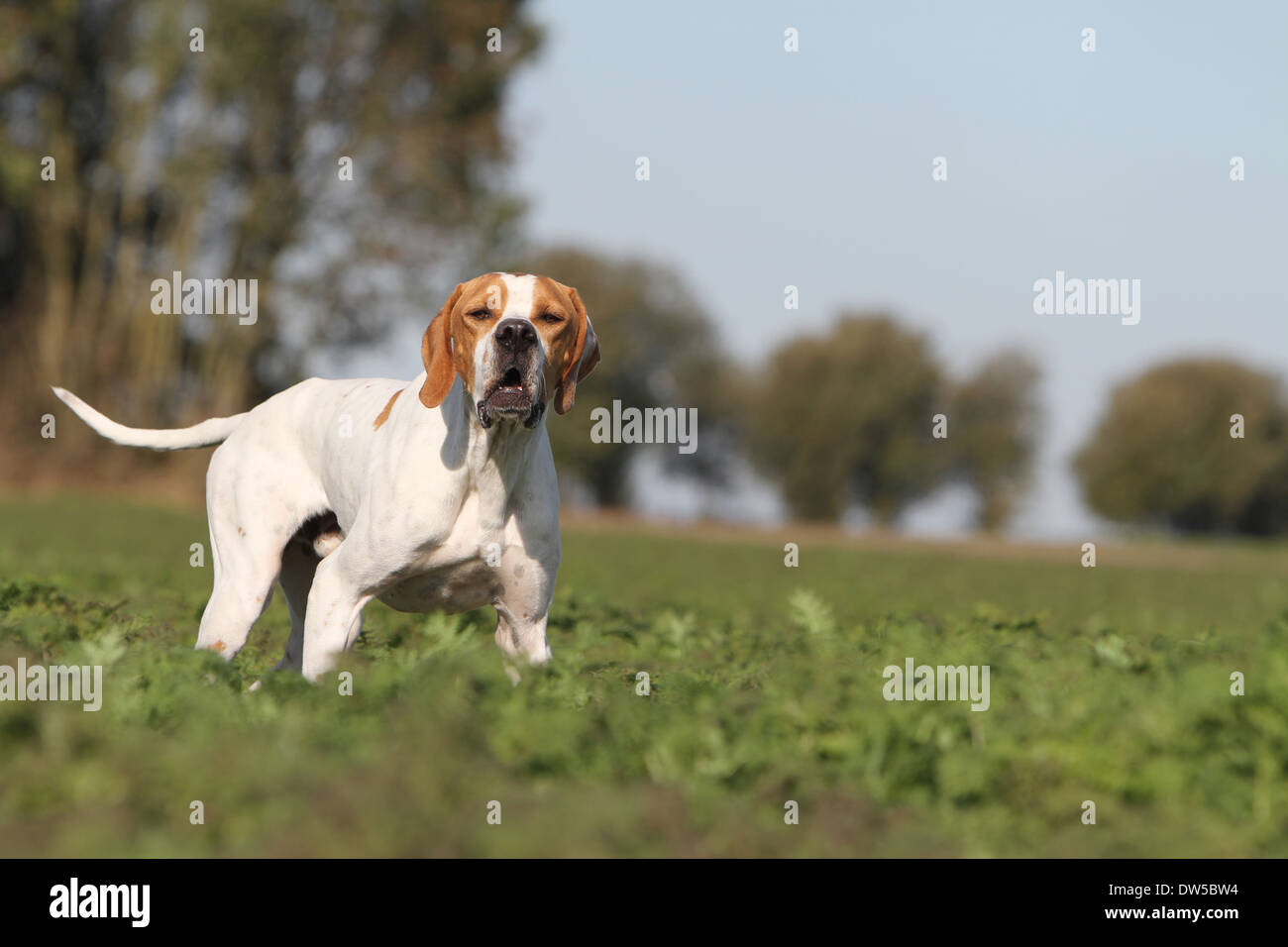Smoother exterior hi-res stock photography and images - Alamy
