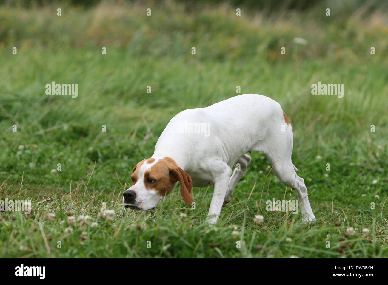 Gun muzzle is pointing hi-res stock photography and images - Alamy