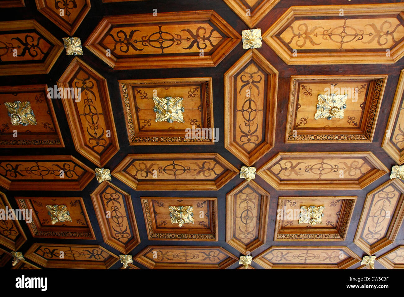 Paneled ceiling of a room in the castle. The Rieger castle stands on a ...