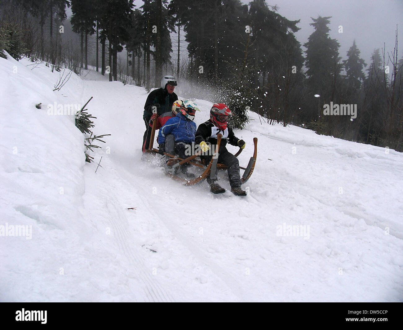 Horn sledge race on the Fichtelberg Oberwiesenthal. For several years ...