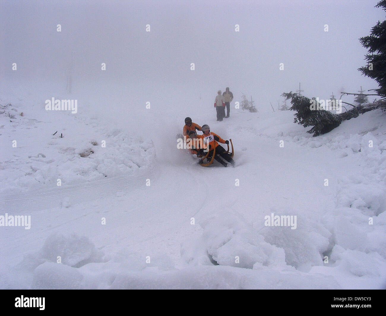 Horn sledge race on the Fichtelberg Oberwiesenthal. For several years ...
