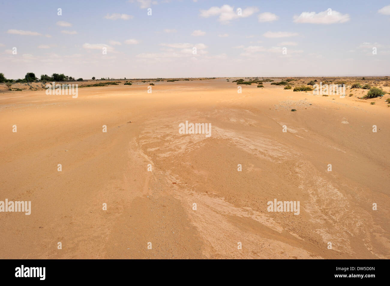 Puntland has a semi-arid climate. Rainfall is sparse and variable, with ...