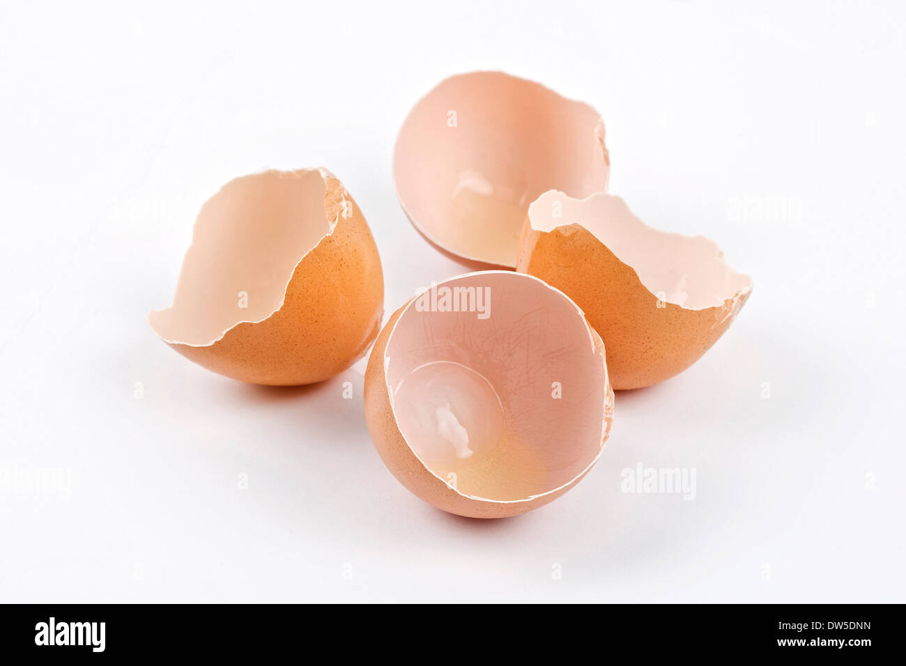 The egg shell Stock Photo - Alamy